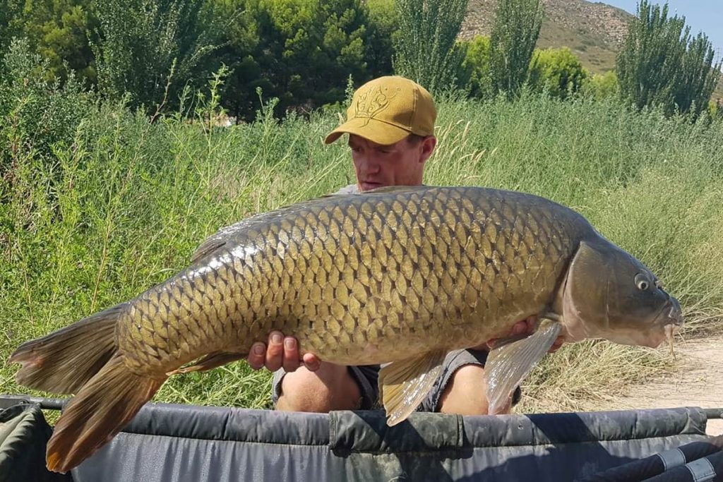 River Ebro Carp Tours - Ebro Expert