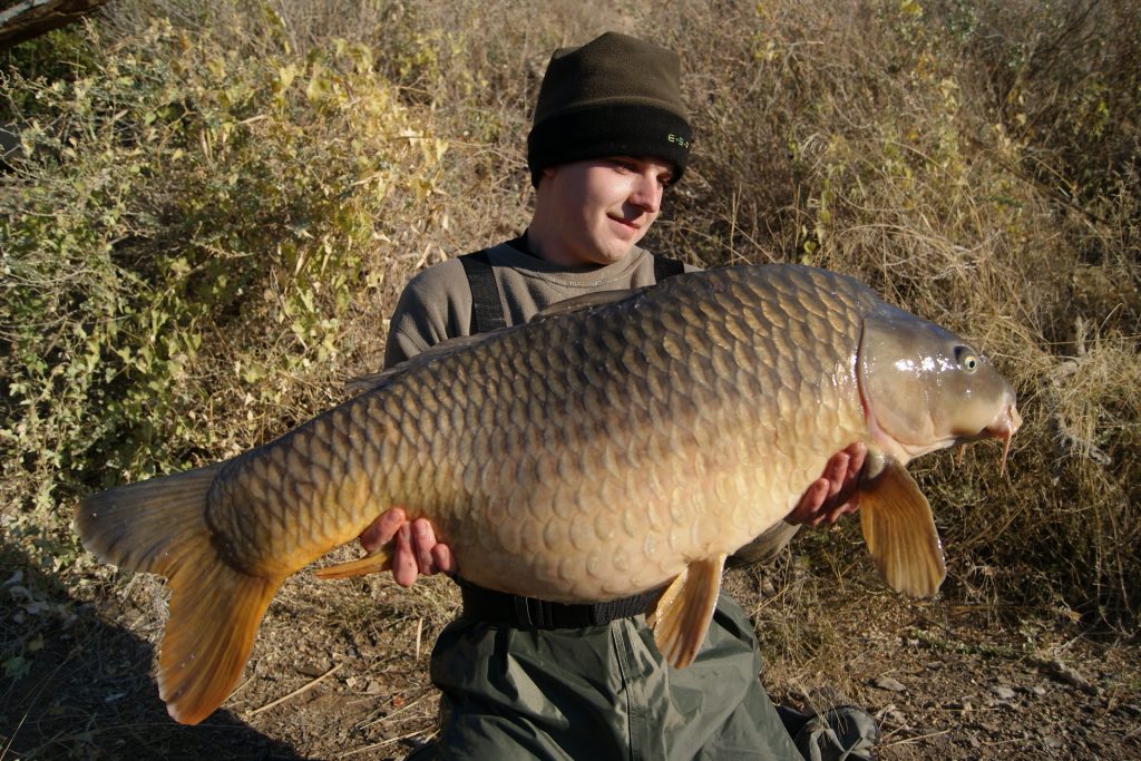 River Ebro Carp Tours - Ebro Expert