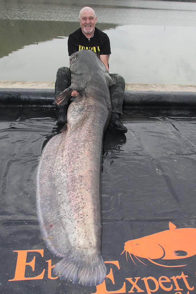 Ebro Catfish and Carp Gallery - Ebro Expert