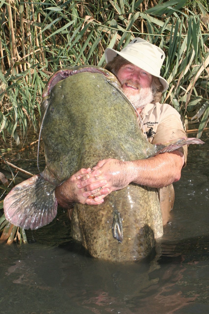 River Ebro Catfish Tours - Ebro Expert