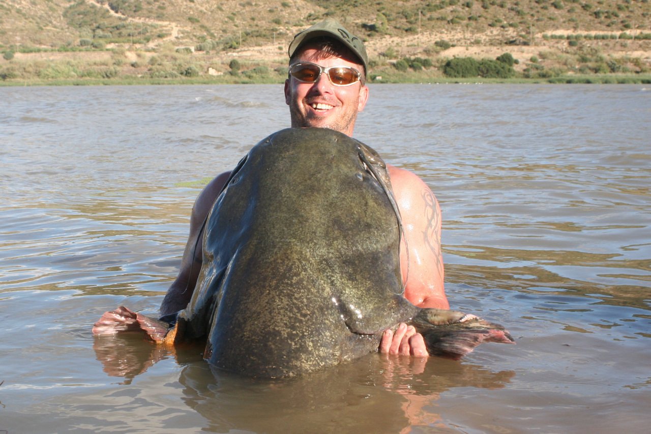 River Ebro Catfish Tours - Ebro Expert